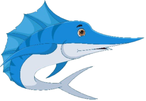 Children's swimming lessons - Aquatic Academy